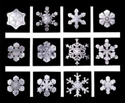 El agua y las emociones: los pensamientos nos afectan físicamente ...